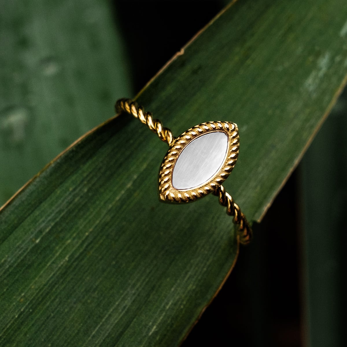 Visual Ring – Diane Jewellery